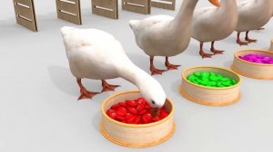 BELAJAR WARNA DENGAN HEWAN BEBEK WARNA WARNI | HEWAN WARNA WARNI | VIDEO ANAK ANAK