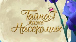 Тайная жизнь насекомых-Drôles de Petites Bêtes