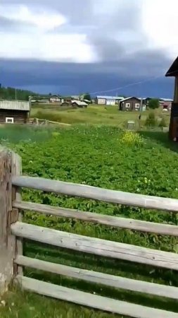 НЕ СИДИТСЯ МНЕ ДОМА! ГУЛЯЮ) один в деревне
