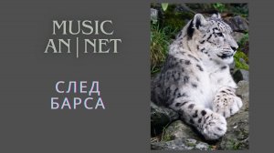 Music AN|NET. Клип - Затерянный след барса