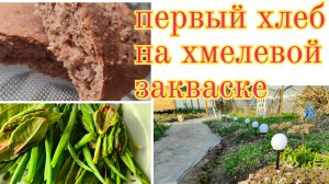 АНОНС👀 Первый опыт хлеба на закваске 🍞 проблемы с сердцем из-за клиентки🤕 ( ссыль в описании)