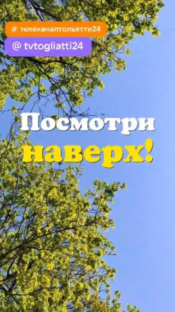 Весна в Тольятти. Клип @tvtogliatti24