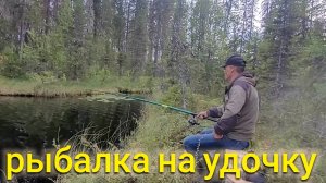 МАХНУЛ НА РЫБАЛКУ СВАРИХ УХУ // ОТДЫХ НА ПРИРОДЕ