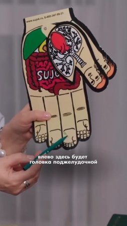 24 апреля 2025 г.