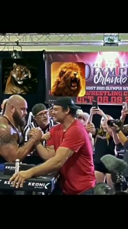 Tiger vs lion arm lion attitude🙀#trending