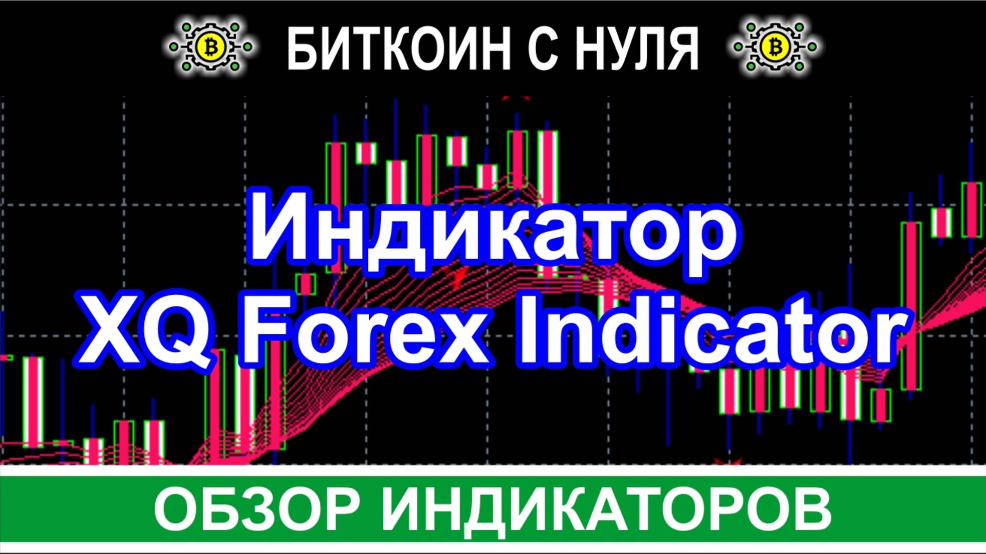 XQ Forex Indicator: Подробное руководство для трейдеров, для прибыльного трейдинга на форекс.