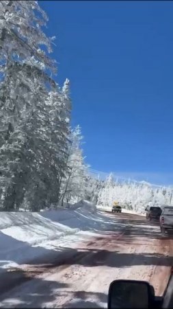 Tremenda nevada en Chihuahua