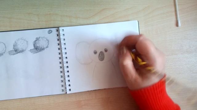 Учусь рисовать по книге. День Восьмой. Коалы