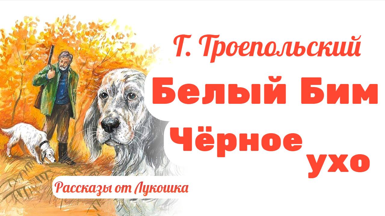 Белый Бим Чёрное Ухо, Трогательный рассказ Гавриила Троепольского • Интересная история про собаку