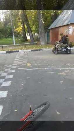 Новинки из леснои городок далее #2