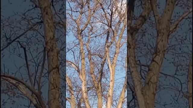 1000027300.mp4