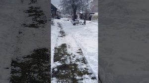 То весна то зима утки запутались