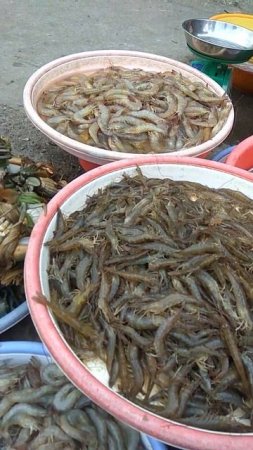 Крабики-креветки