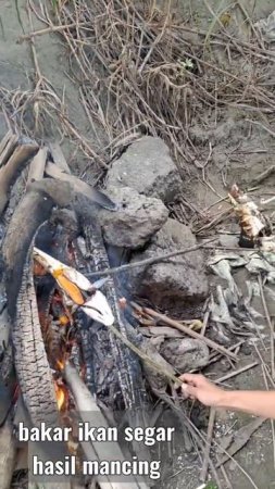 telur ikan belanak di bakar enakkk #short