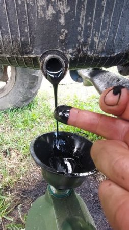 Нефать, а не мазло)