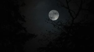 Физика. 9 класс. Урок 9. Звуковые волны