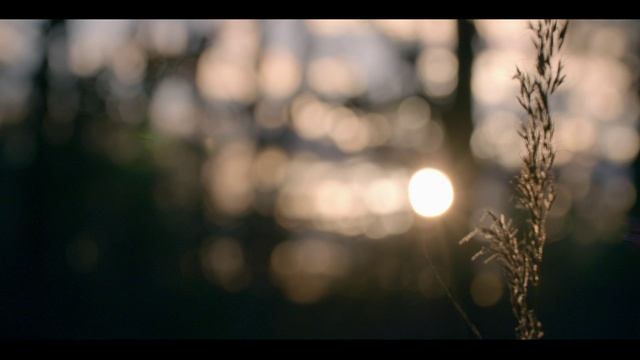 Я - убийца. 1 сезон. 9 серия.