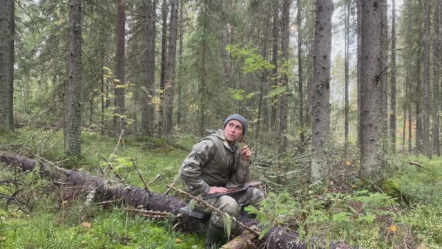 Охота на рябчика с манком. Где рябчик?