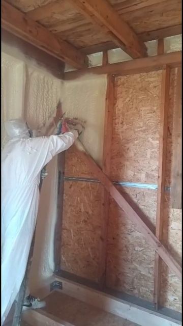 Утеплить ППУ. Каркасный дом.