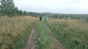 По следам дождя