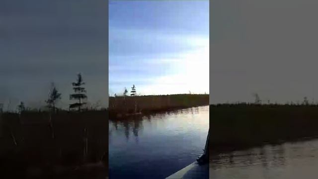 СВП БРИЗ лучше чем аэролодка