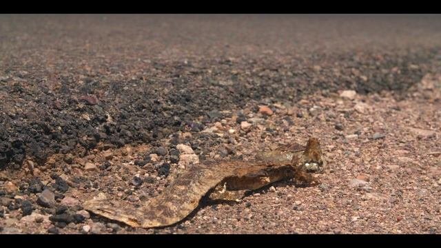 Я - убийца. 2 сезон. 9 серия.