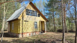 купить дачу из бревна в снт Урожай в окружении хвойного леса с березками рядом с ж/д Конаковский мох