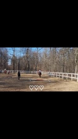 так какая там кнопка .... Идеально~