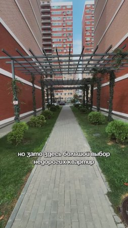 Дешевые квартиры в Краснодаре #командакравченко #shorts