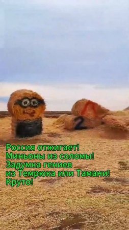 Миньоны на Кубани! #море #отдых #Миньоны #shorts