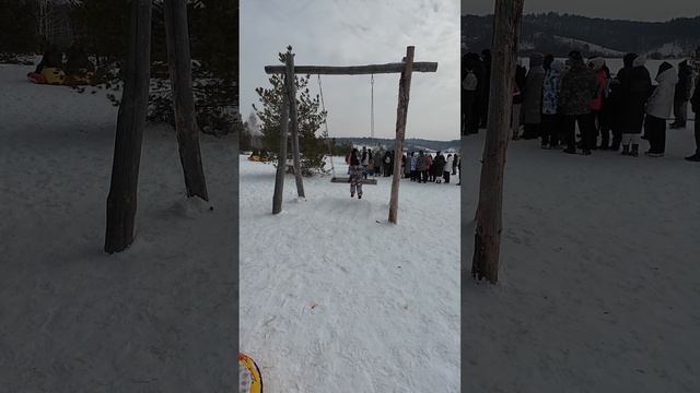 Масленица в питомнике хаски «догвинтер"