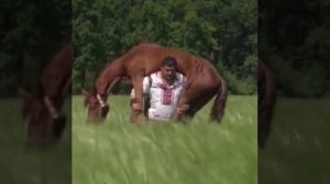 Не забудь подписаться!