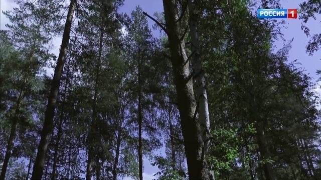 Цареубийство. Следствие длиною в век. 2 серия.