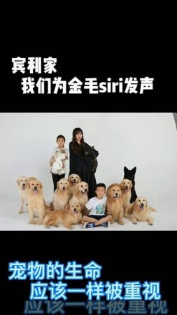 #Short #Dog #Best Dog's Life | Удивительная собака 2021 | Готовка собак 2021 | Умная собака 2021