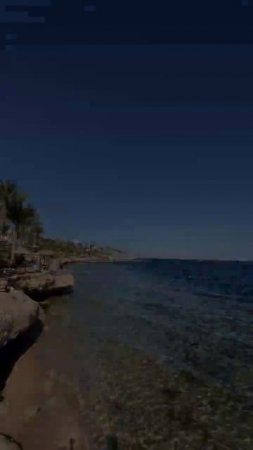Grand Rotana Resort & Spa, Египет Шарм-эль-Шейх