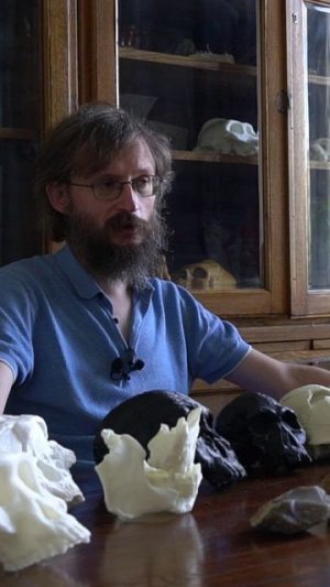 Почему уменьшился мозг древнего человека? – Станислав Дробышевский