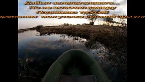 Весенняя охота с подсадной уткой (2023), побег... Spring hunting with a decoy duck, escape