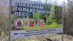 "Новости Тольятти" 25.04.2025