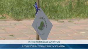 В сквере «Западный» высадили молодые деревья в рамках акции «Сад памяти» – 24.04.2025