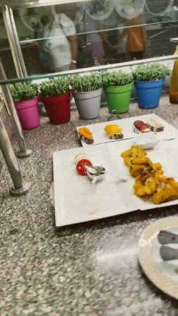 Шведский стол Алькасара