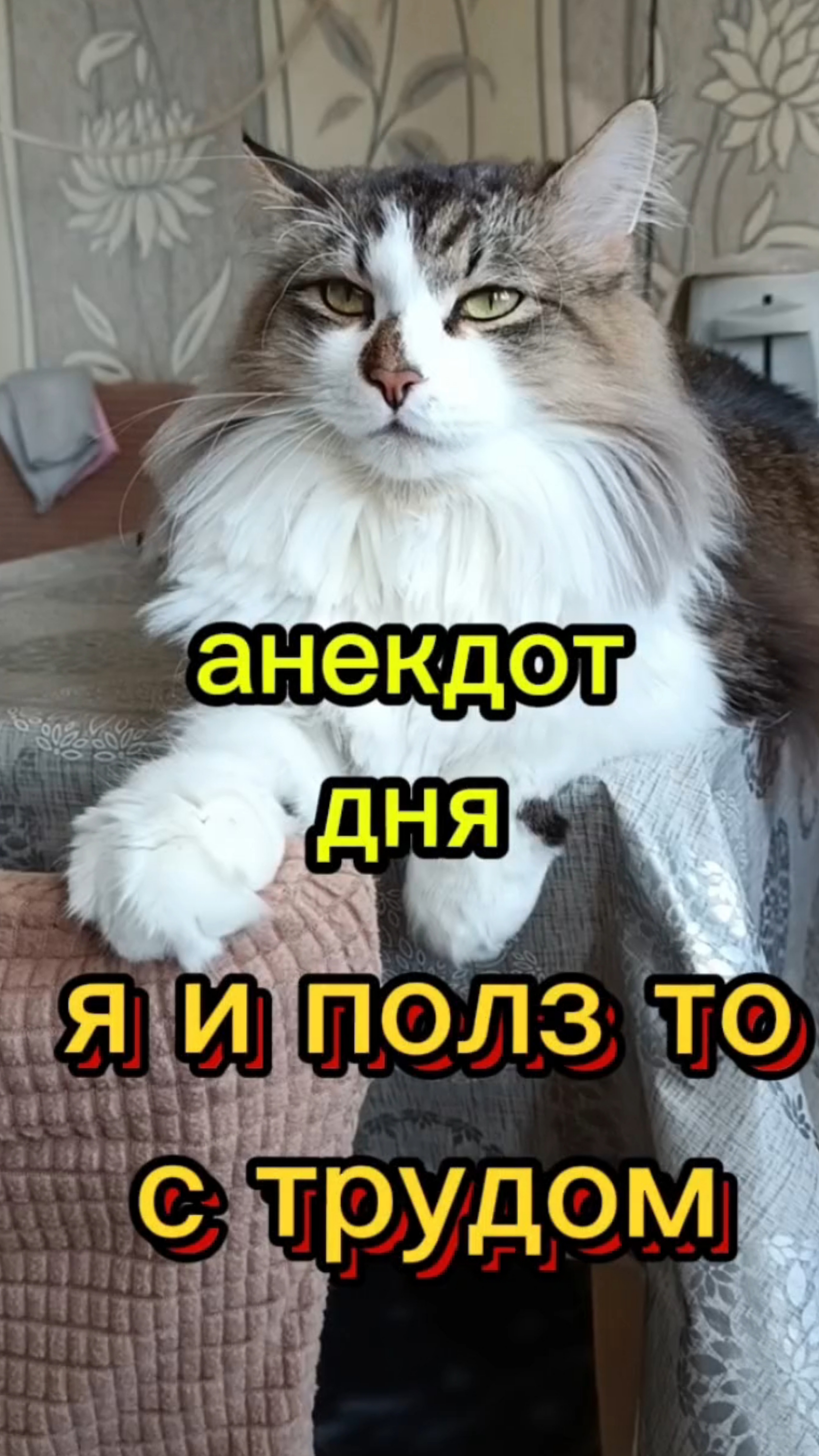 Анекдот дня. Я и полз-то, с трудом.