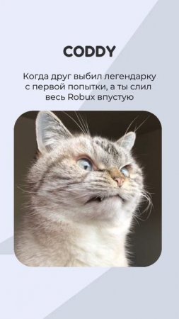 ЛАЙК, ЧТОБЫ ВСЕГДА ВЫБИВАТЬ ЛЕГЕДНАРКИ 👍🏻