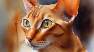 Они такие разные, но так похожи. Кошки: сфинкс, абиссинская, бенгальская, мейн-кун. Смотри описание