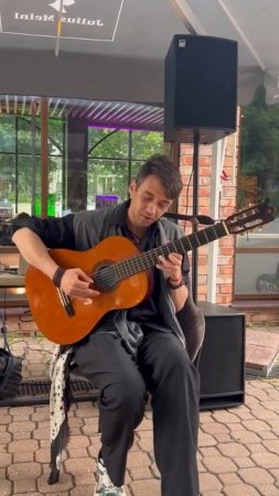 Renaissance (Palmira Garden Live) #music #гитара #electronica #guitarist