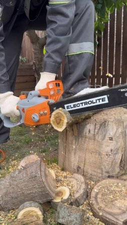 Электрическая цепная пила Electrolite MSE 1800