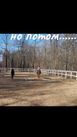 Занесло .....