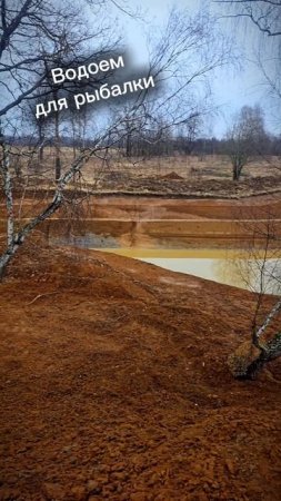Пруд для рыбалки | построить пруд | строительство прудов ЭкоПонд | рыбный пруд | компания EcoPond