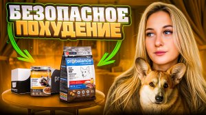 ЛИШНИЙ ВЕС У СОБАК | Интерактивная игрушка для собак