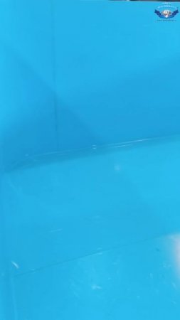 Бассейн для дома и дачи