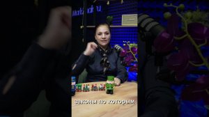 От эконом до премиум